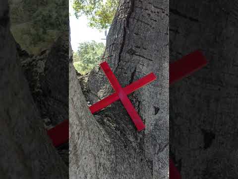 Red X